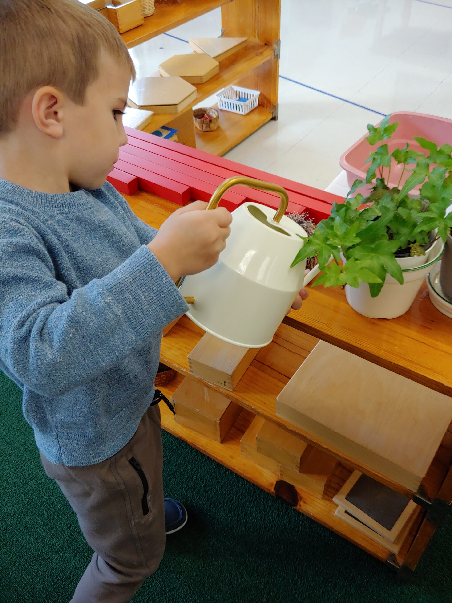 Home - Montessori School of Western Springs